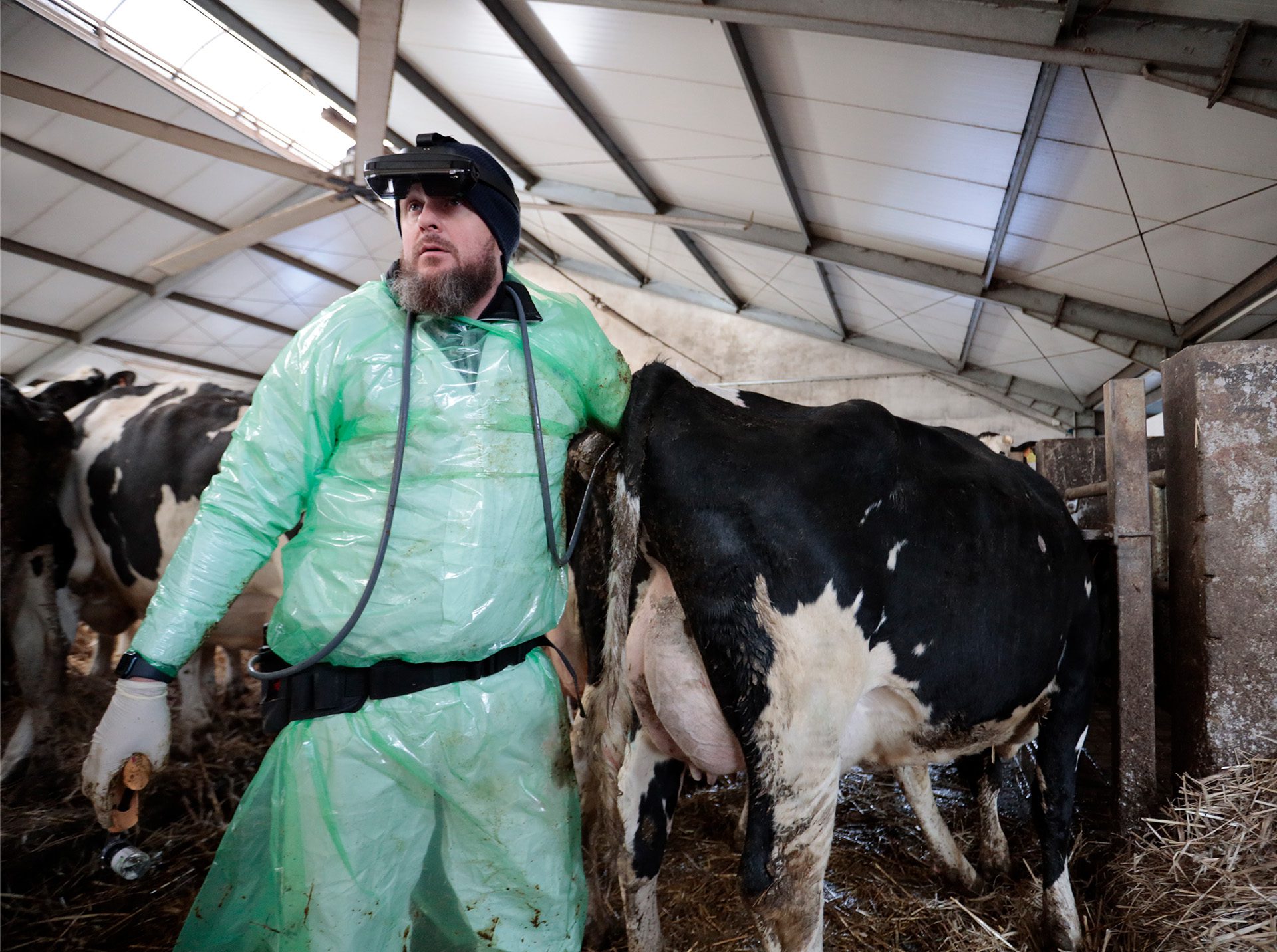 iLens Wireless Goggles for Precision in Animal Ultrasounds ...