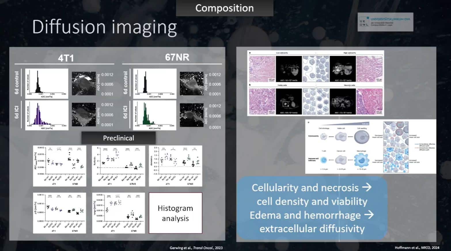 Imaging and Immunotherapy: Current Practice & Future Potential ...