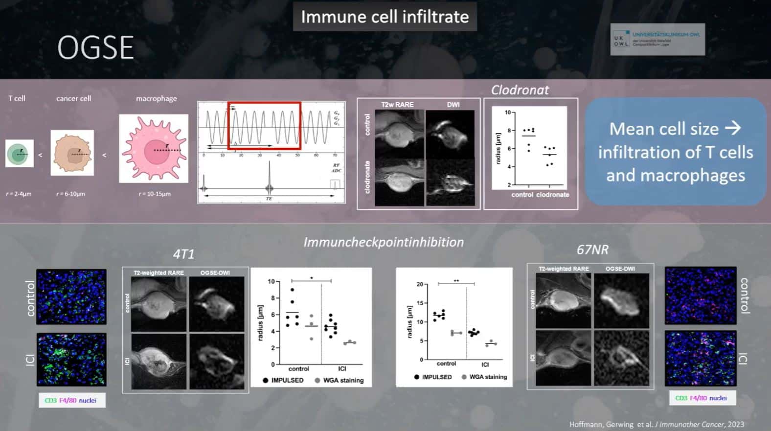 Imaging and Immunotherapy: Current Practice & Future Potential ...