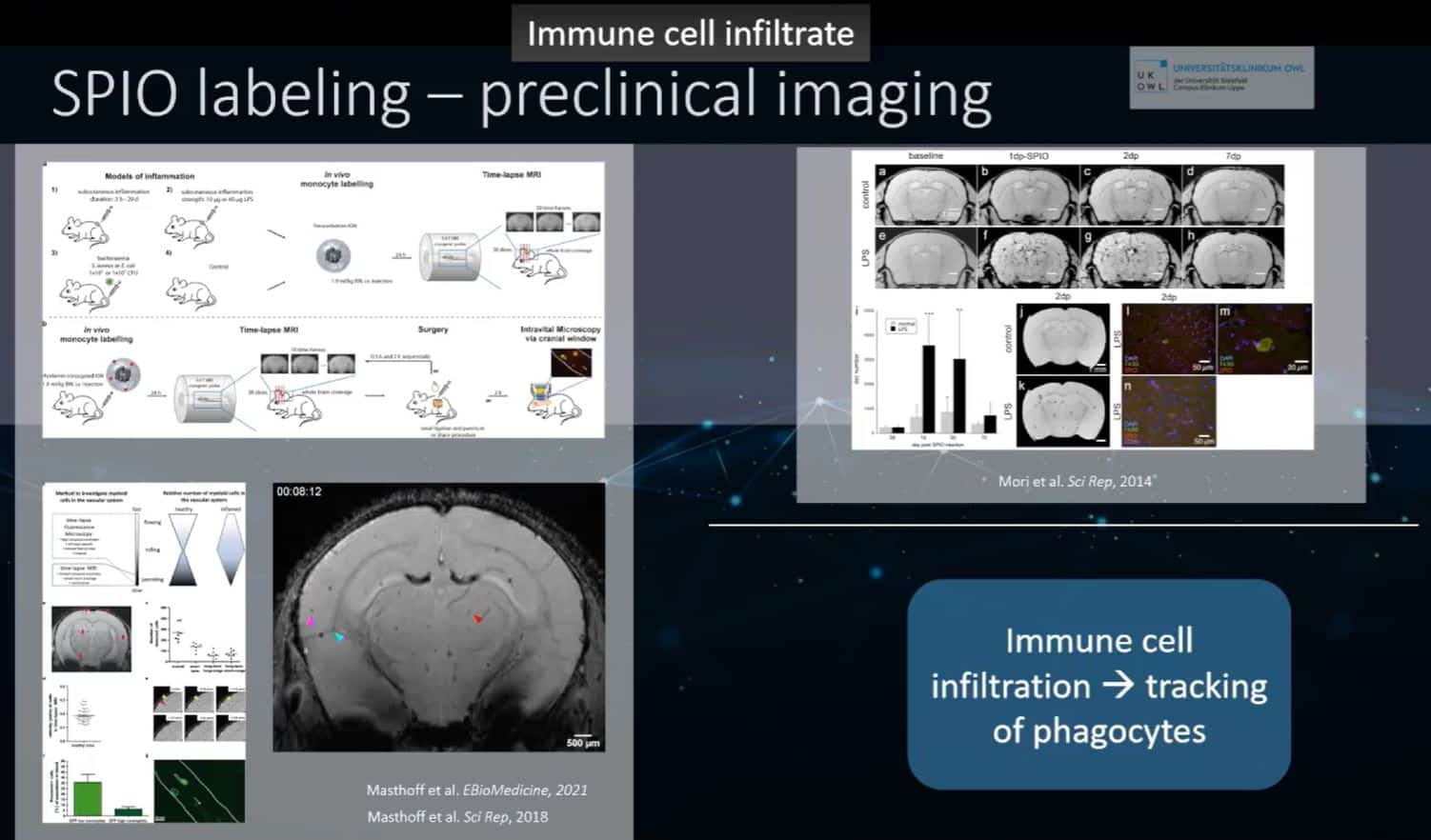 Imaging and Immunotherapy: Current Practice & Future Potential ...