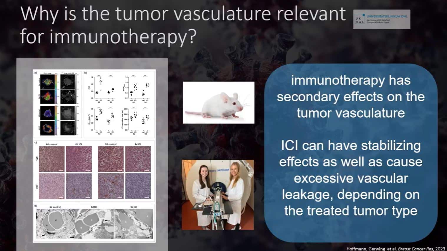 Imaging and Immunotherapy: Current Practice & Future Potential ...