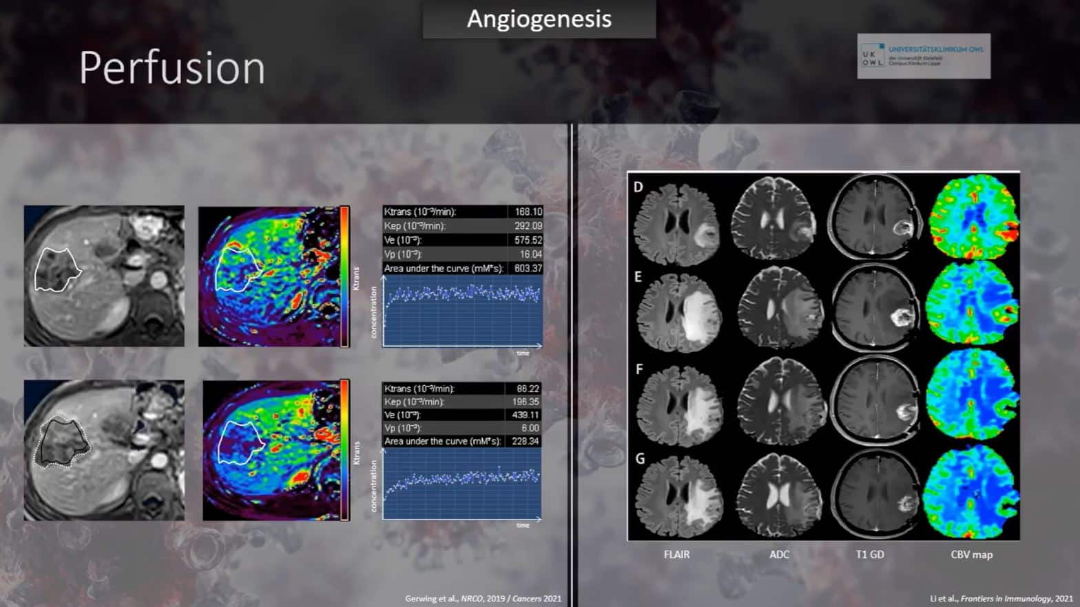 Imaging and Immunotherapy: Current Practice & Future Potential ...