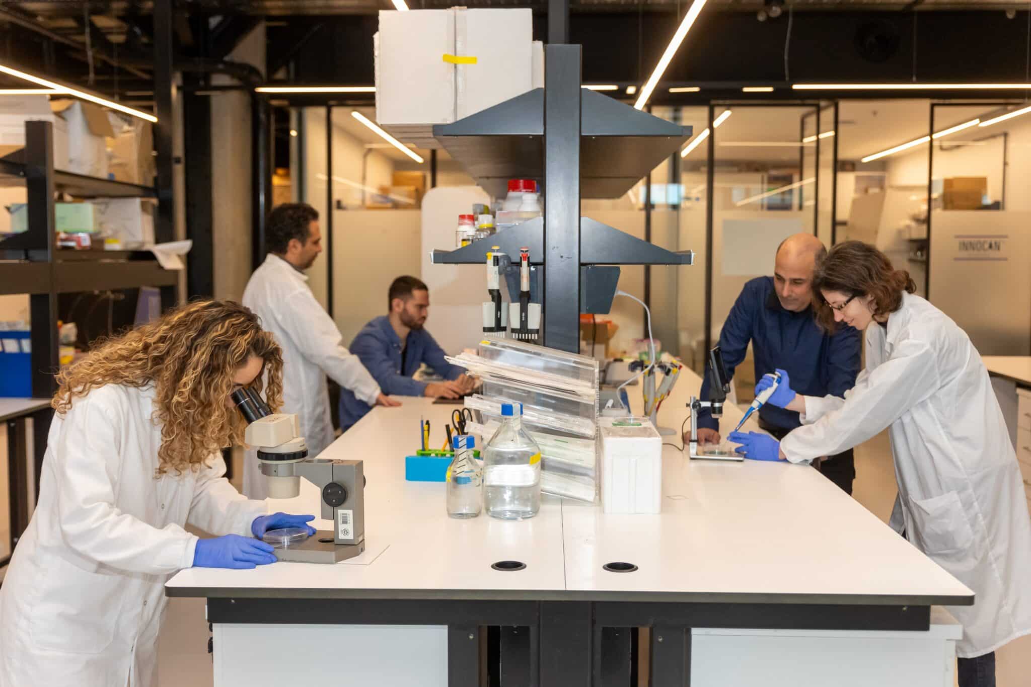 Brain-on-chip Technology: a New Path to Drug Testing - MedicalExpo e ...