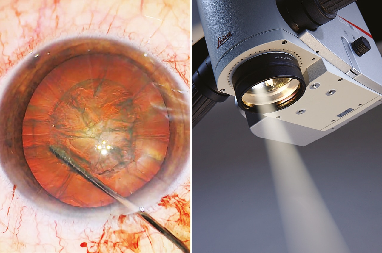 Sponsored Article. 6 Key Features to Consider When Choosing an ...