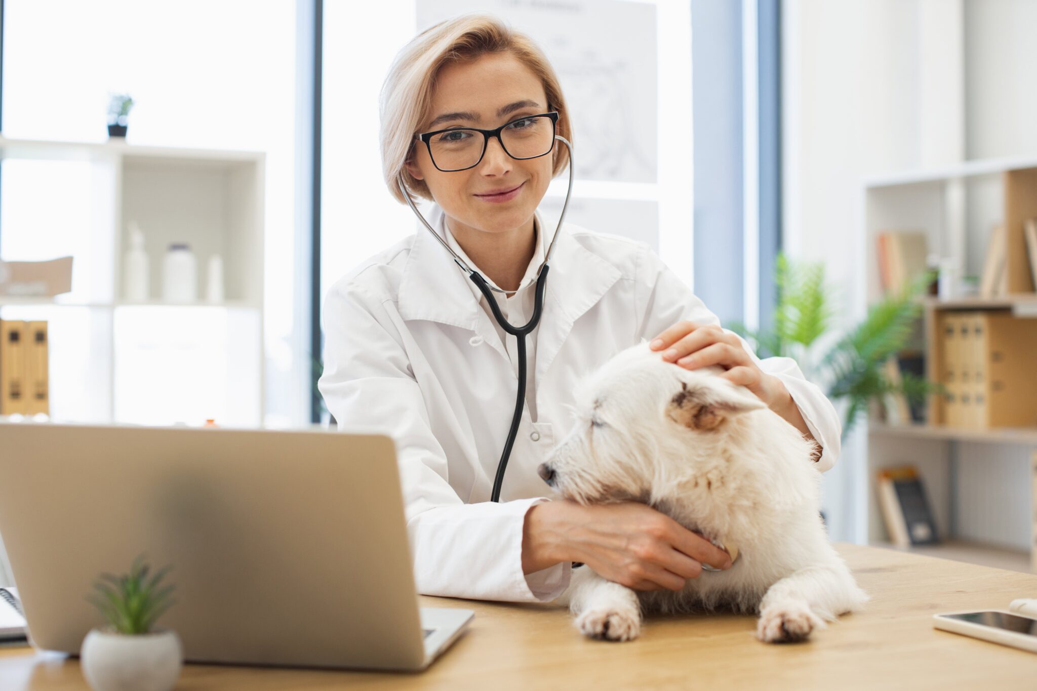 Veterinary Medicine: AI for Clinics with Vetspire - MedicalExpo e-Magazine